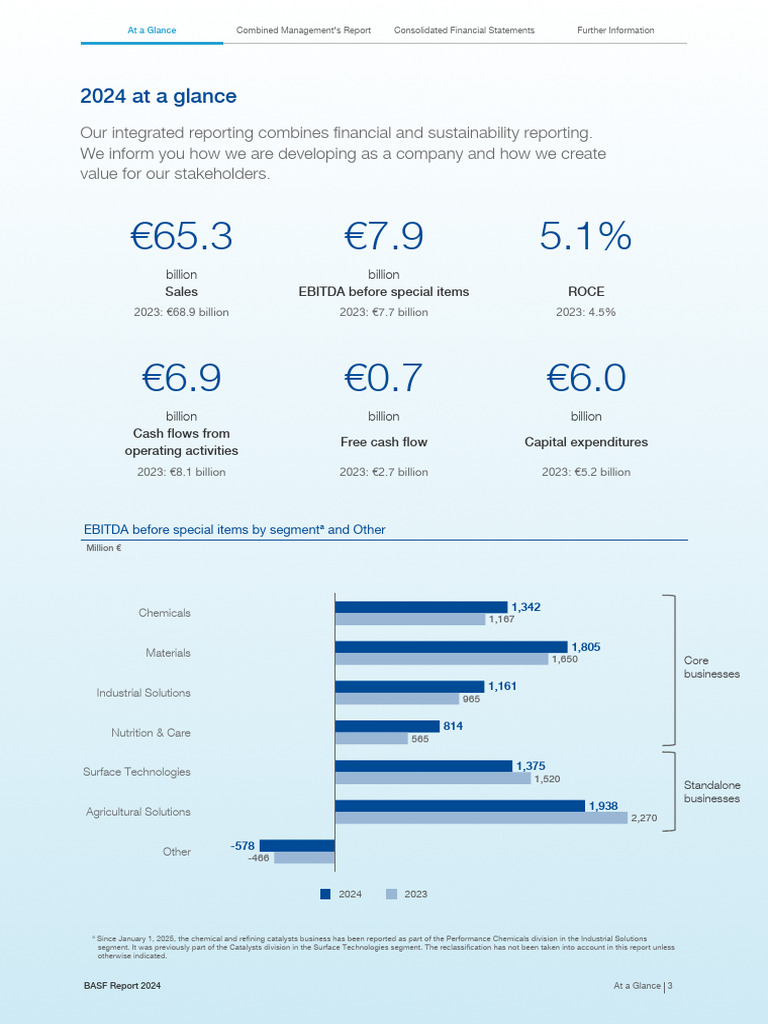 BASF 2024 Annual Report Overview | PDF