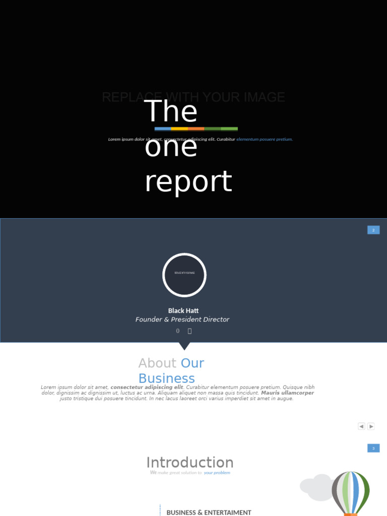 Report Clean | PDF