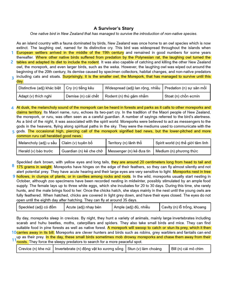 Bài S A A Survivor's Story Reading Basic | PDF | Owl | Predation