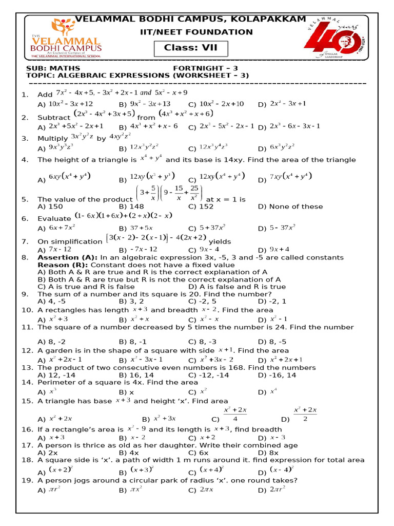 Algebraic Expressions Worksheet for VII | PDF | Area | Length