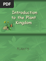 Shell Classification: Using A Dichotomous Key | PDF | Bivalvia | Mollusca