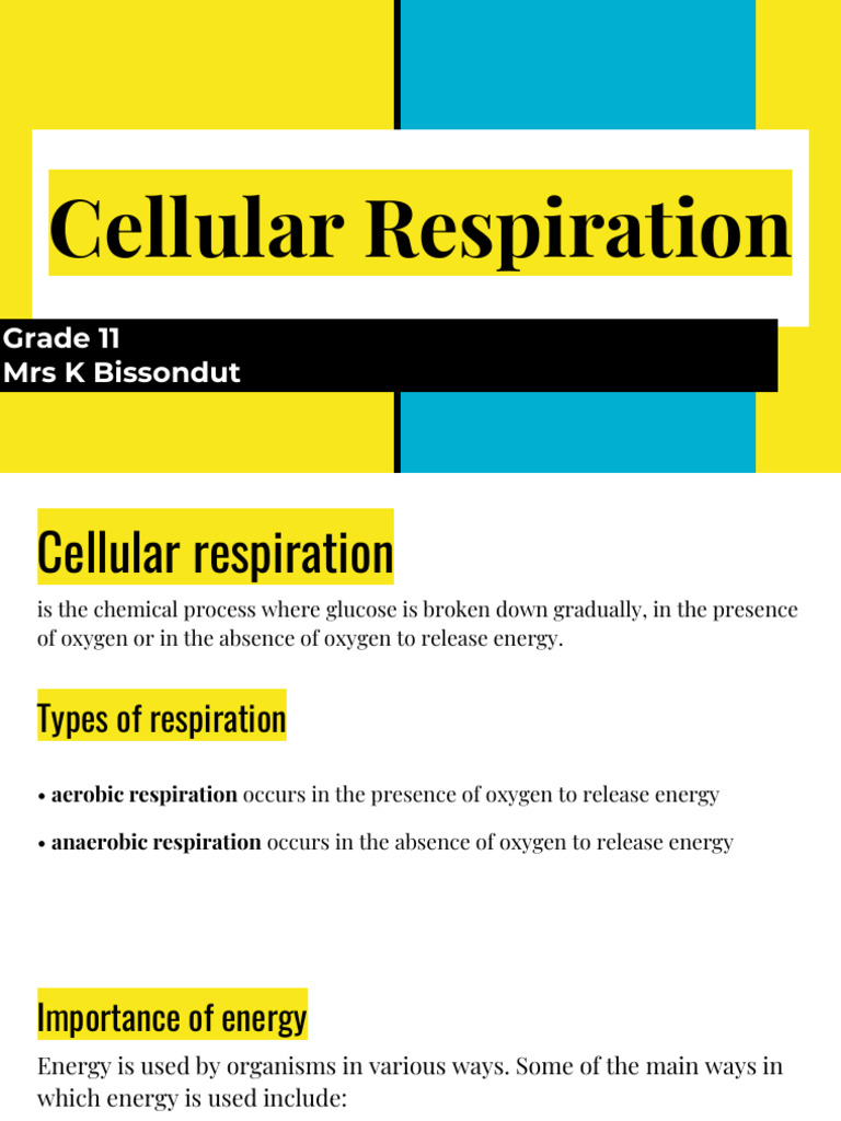 Cellular Respiration: Aerobic vs Anaerobic | PDF | Cellular Respiration ...