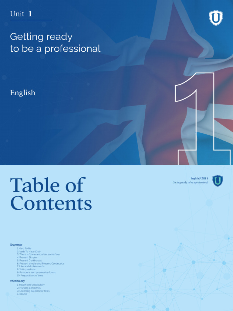 U1 Getting Ready To Be A Professional | PDF | English Language | Plural