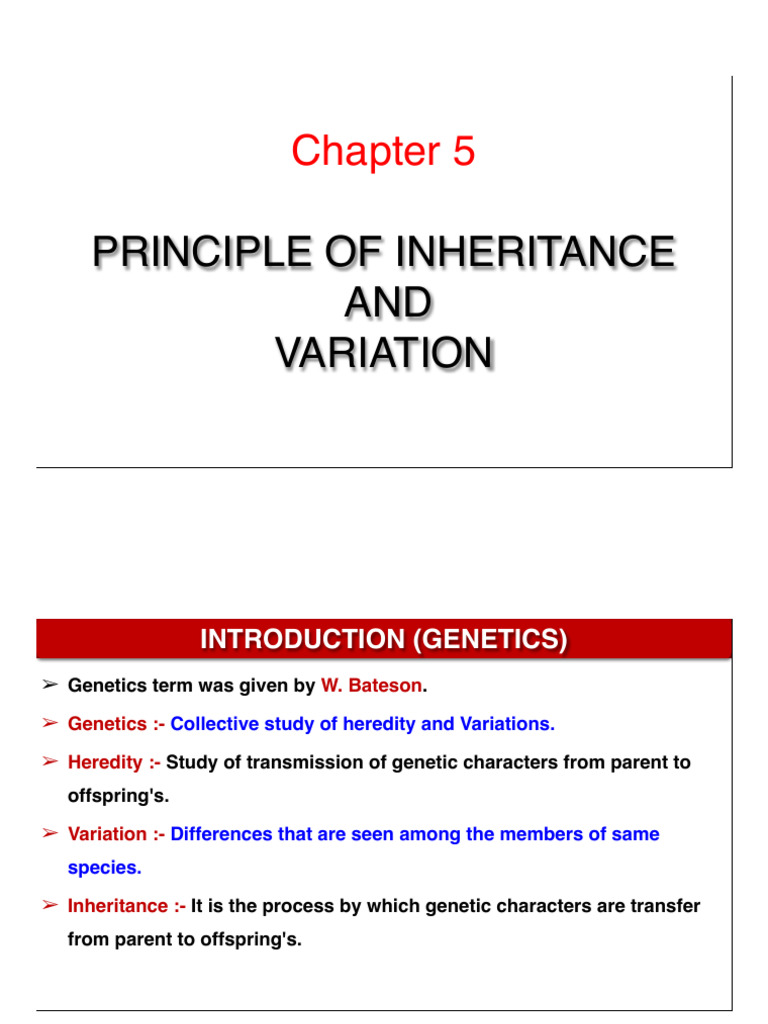 1 POI Introduction E (1) | PDF | Allele | Zygosity