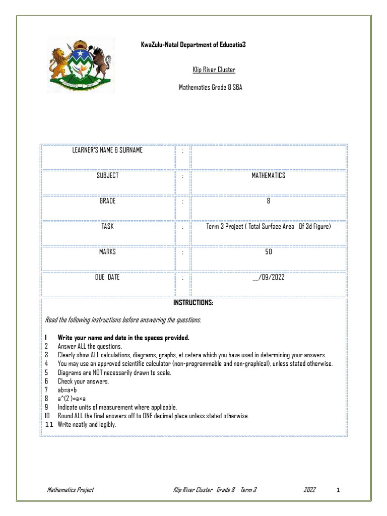 Grade 8 Total Surface Area Project | PDF | Area | Rectangle