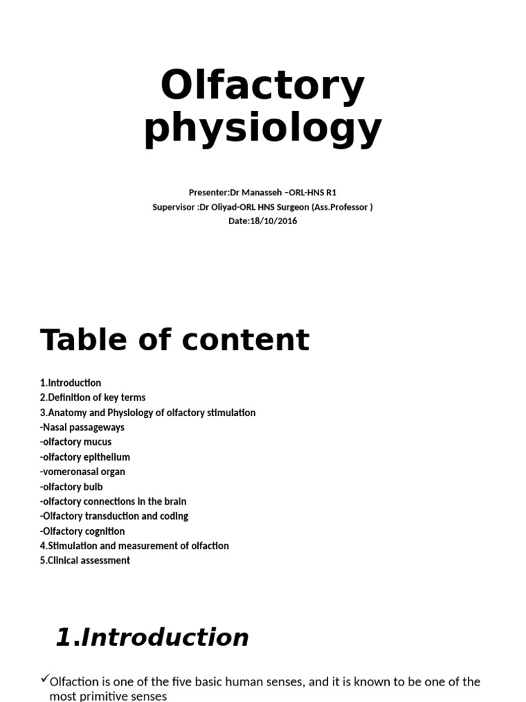 Olfactory Physiology Final | PDF | Signal Transduction | Human Nose