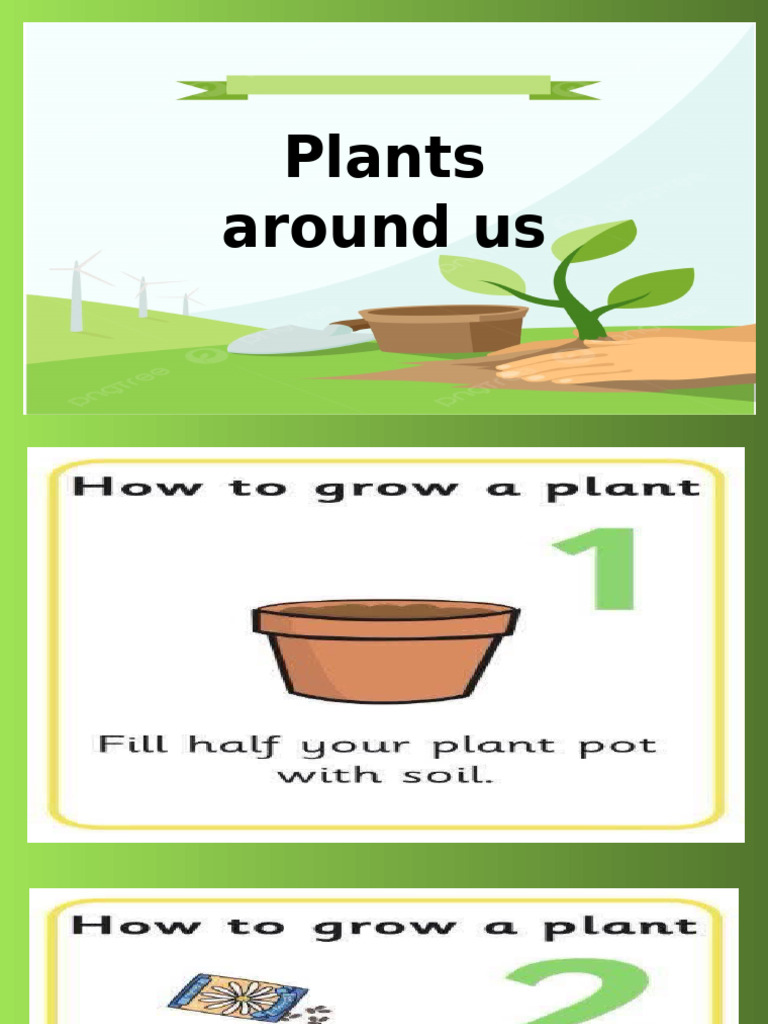 Plants Around Us | PDF