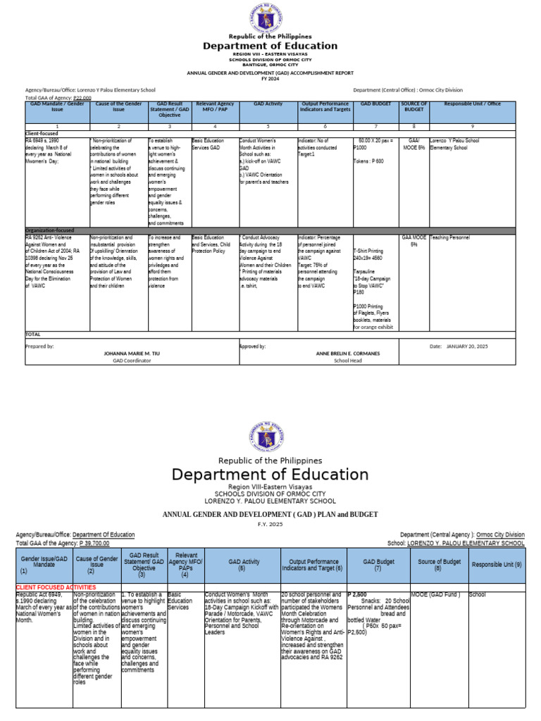Annual GAD Accomplishment Report 2024 | PDF | Social Policy | Social ...
