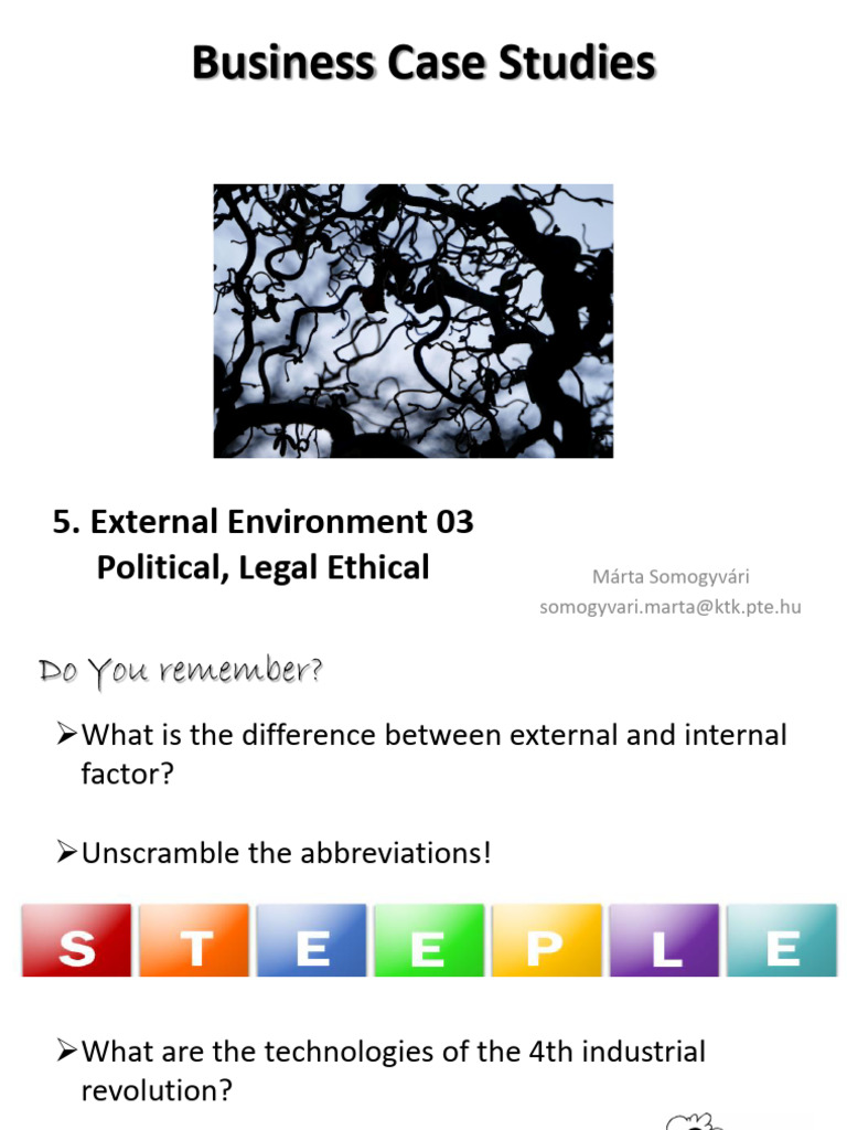 Business Case Studies 05 External Env03 - 2024 | PDF | Taxes | Employment