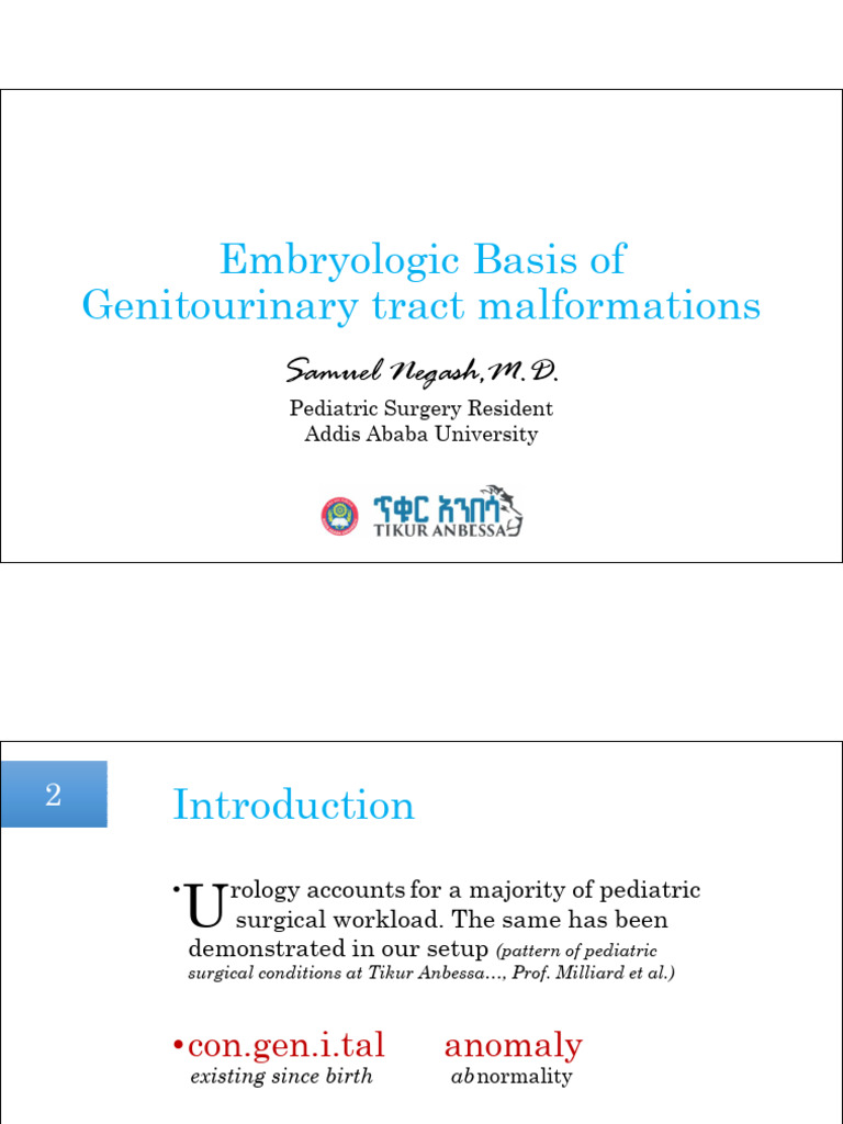 embryology-of-GUS | PDF | Vagina | Intersex