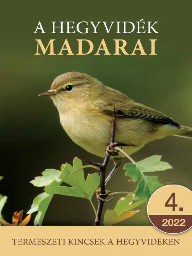 A Hegyvidek Madarai | PDF
