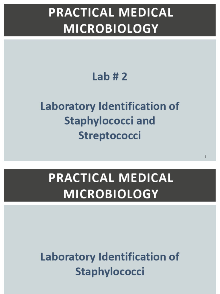 Medical Micro Fall 2025 - Lab 2 - Staph and Strep PDF | PDF ...