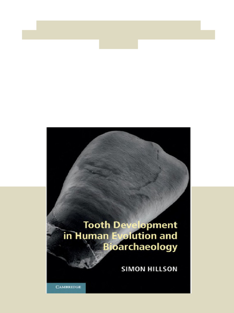 2585tooth Development in Human Evolution and Bioarchaeology 1st Edition ...