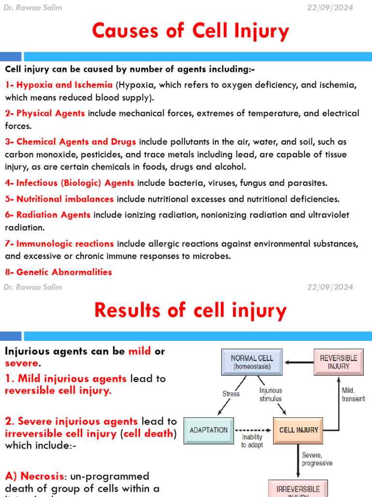 Pathophysiology - 3 Reversible Cell Injury 2024 | PDF | Necrosis | Biology