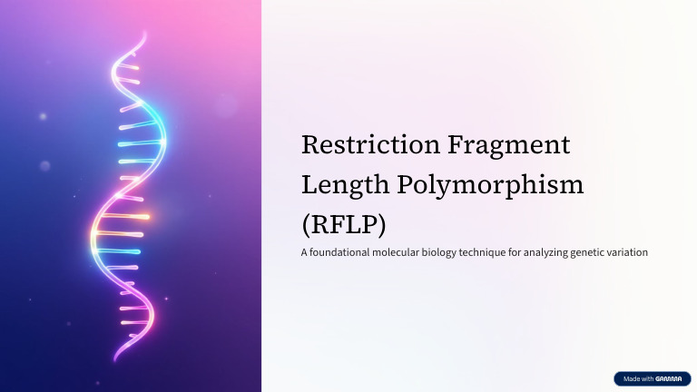 Restriction Fragment Length Polymorphism (RFLP) | PDF