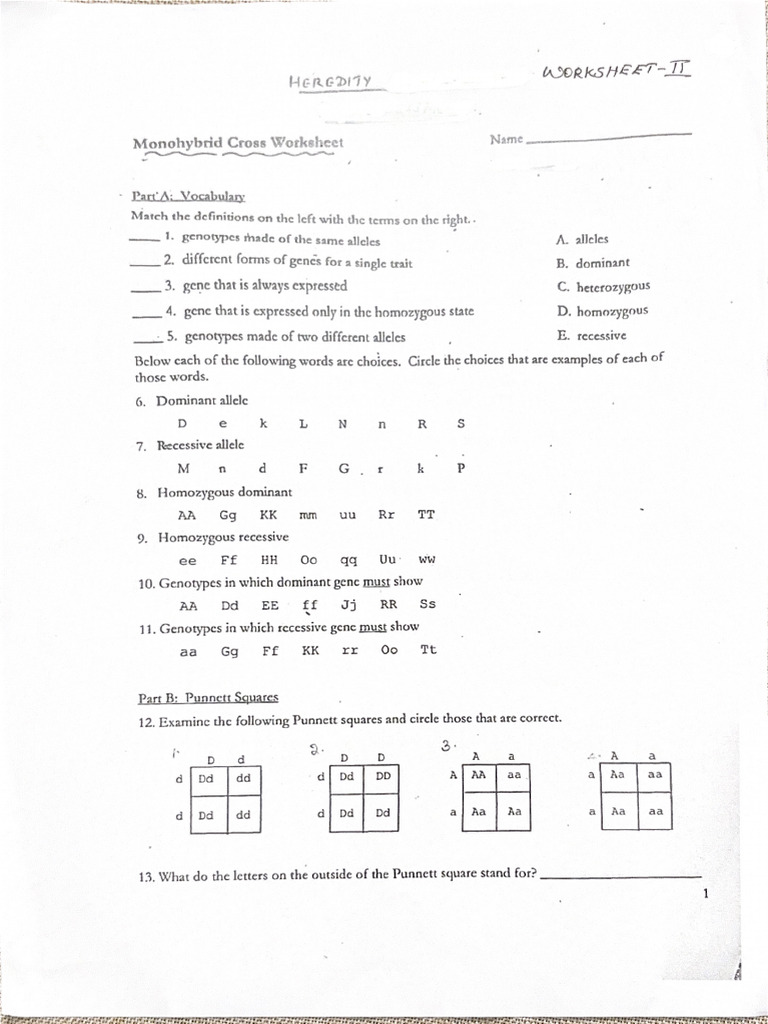Heredity Worksheet - 2 | PDF