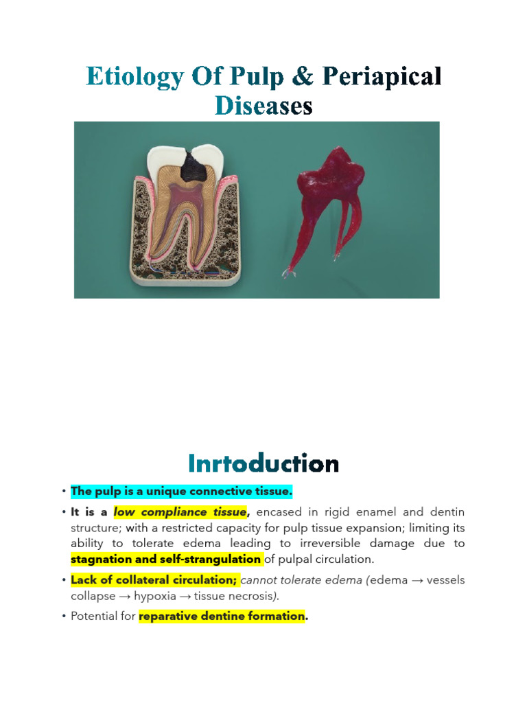 Causes of Pulp Inflammation in Dentistry | PDF | Dentin | Periodontology