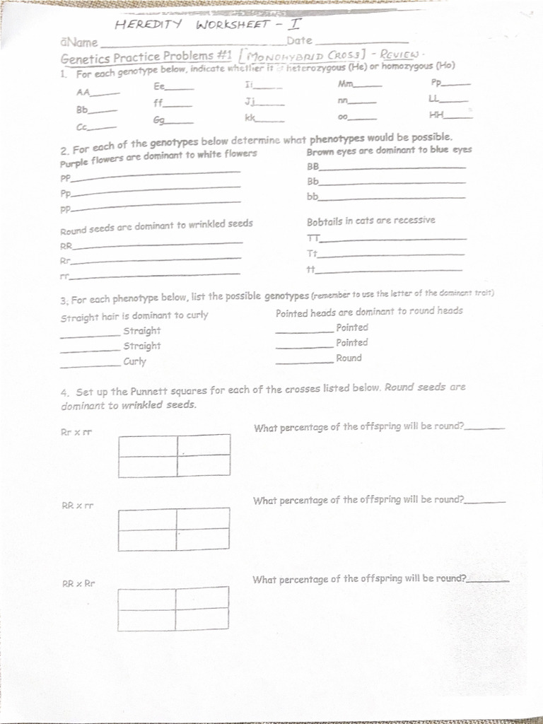 Heredity Worksheet - 1 | PDF