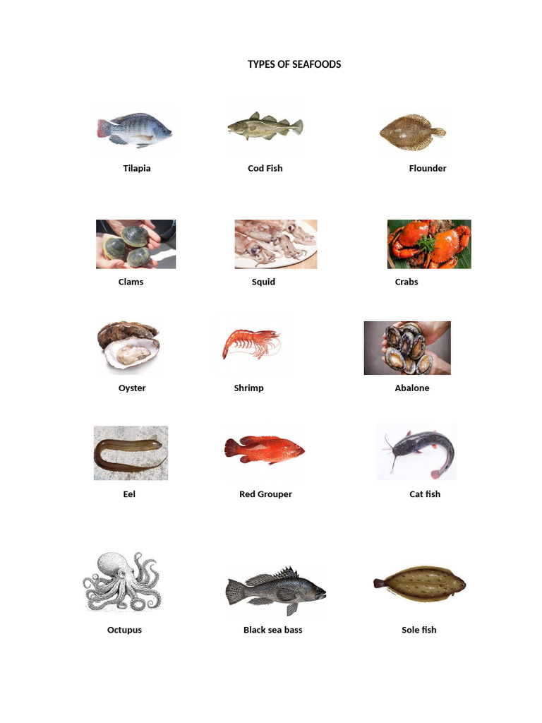 Types of Seafood Varieties List | PDF