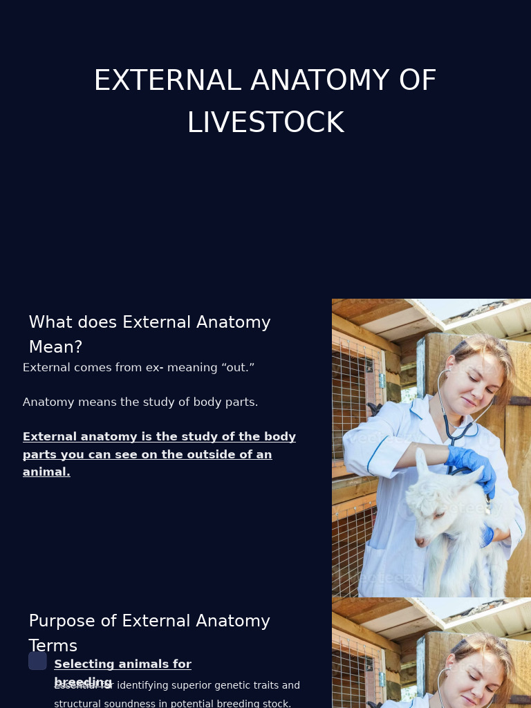 External Anatomy of Livestock | PDF | Horses