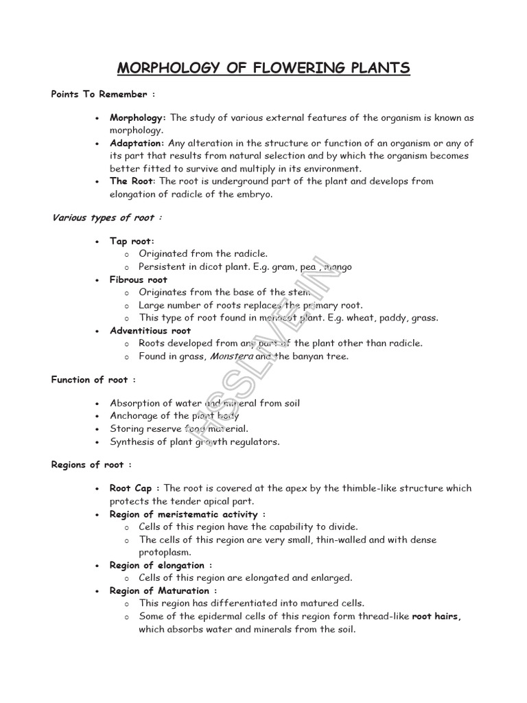 3.Morphology of Flowering Plants-hsslive | PDF