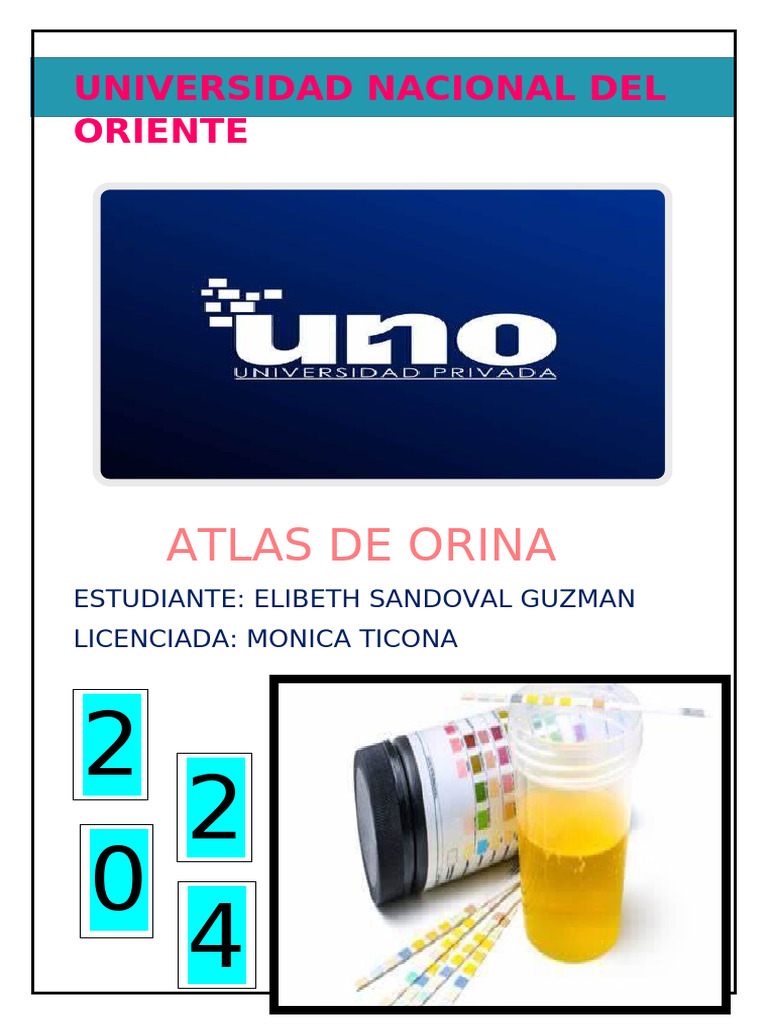 Atlas de Orina Elibeth | PDF | Riñón | Orina