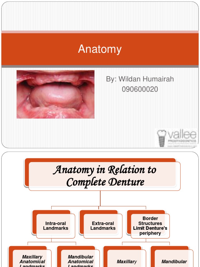 Complete Denture Anatomy Guide | PDF | Lip | Dentures