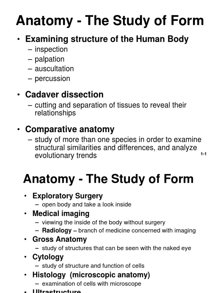 Anatomy - The Study of Form | PDF | Homeostasis | Medical Imaging