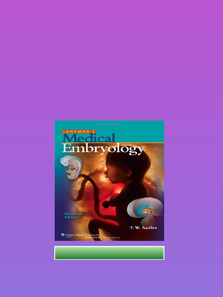 Langmans Medical Embryology 11th Edition 11th Edition Thomas W Sadler ...