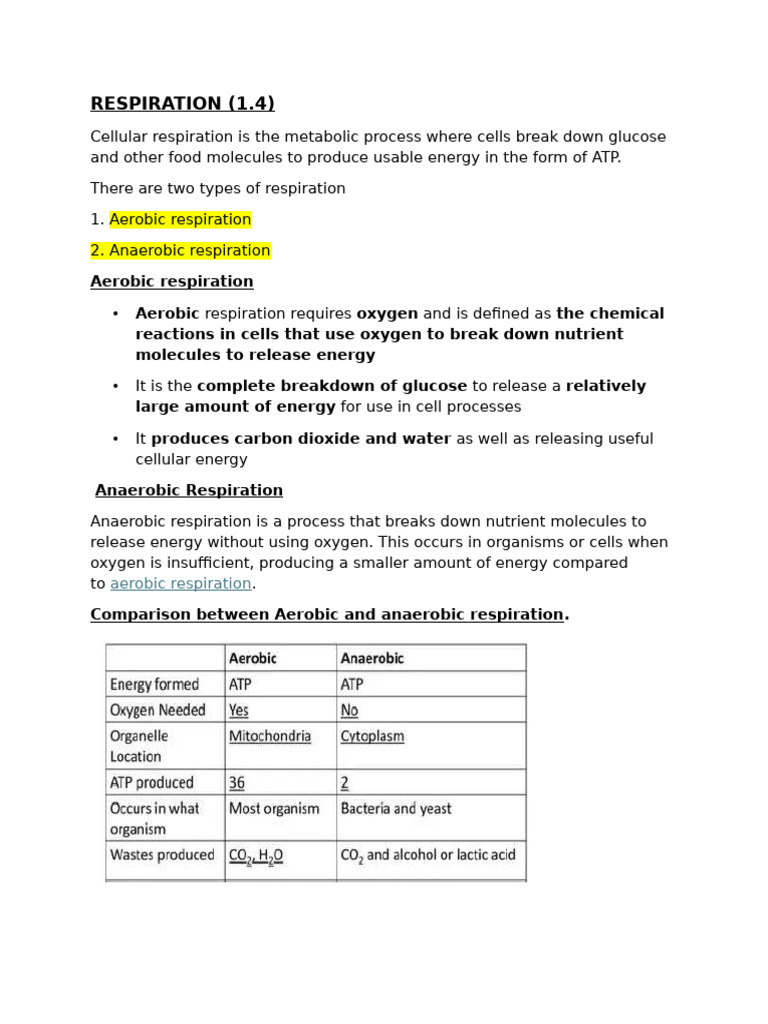 Aerobic vs Anaerobic Respiration Explained | PDF | Cellular Respiration ...