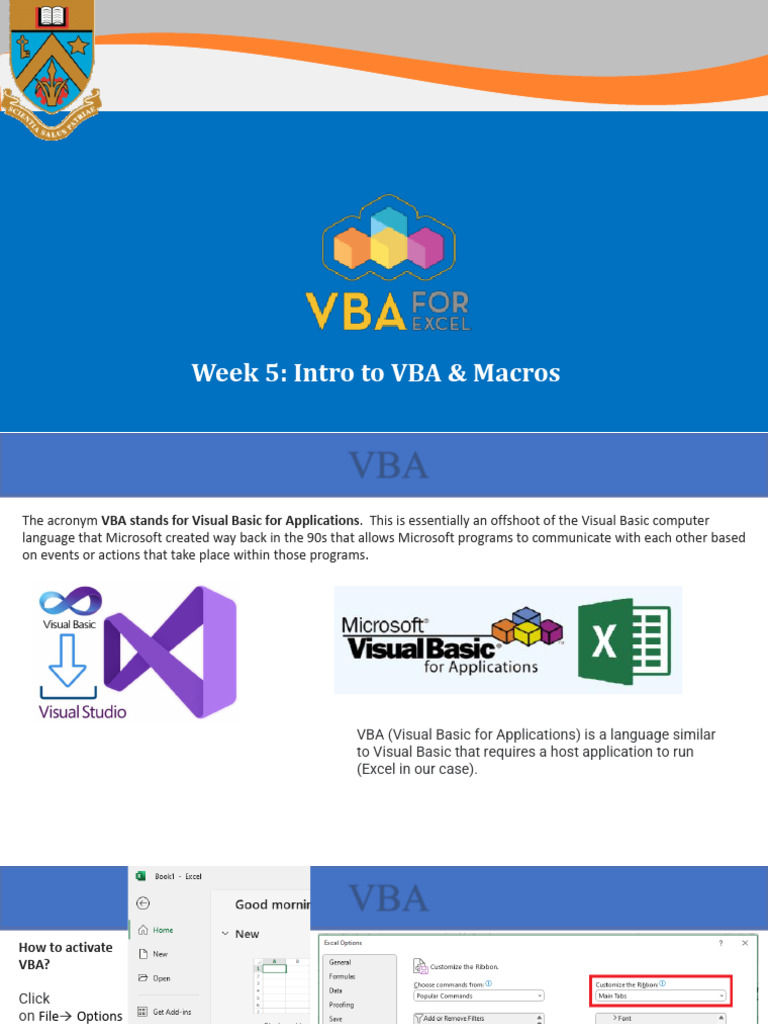 Introduction To VBA For Zoom | PDF