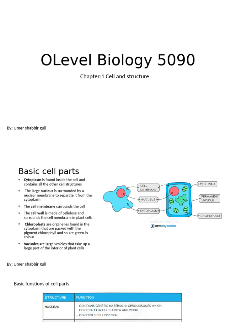 OLevel Biology 5090 CELL | PDF | Cell (Biology) | Bacteria