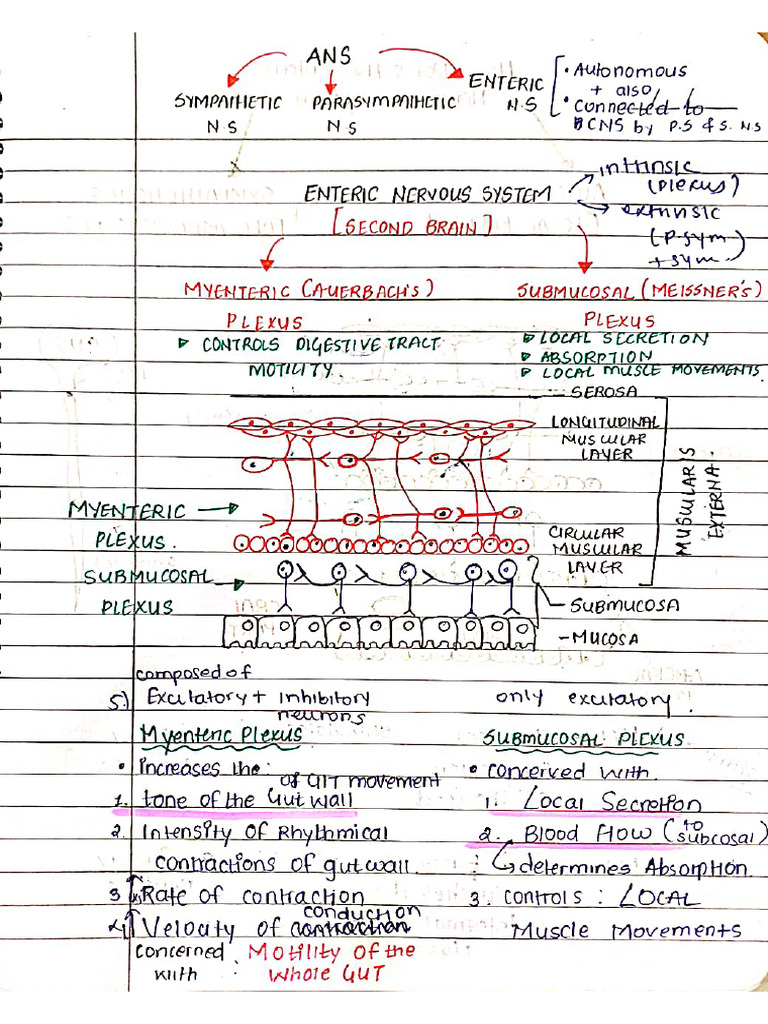 GIT Senior Notes | PDF