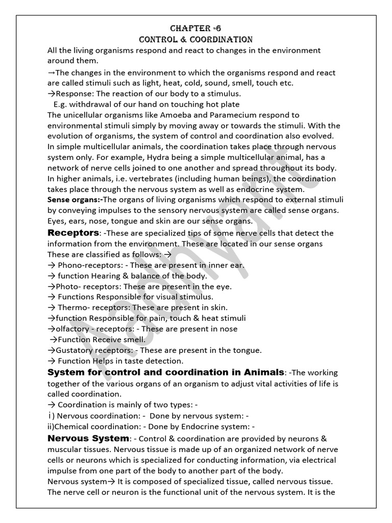 Lesson 6 Chapter Control and Coordination | PDF | Axon | Neuron