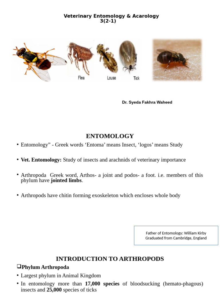 Introduction of Arthropods | PDF | Arthropods | Arthropodology