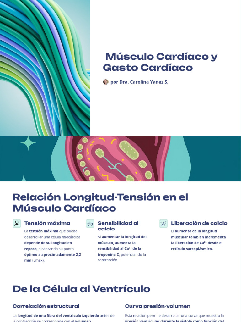Sem 4 Sesion 3 y 4 Musculo Cardiaco y Gasto Cardiaco | PDF | Músculo | Corazón