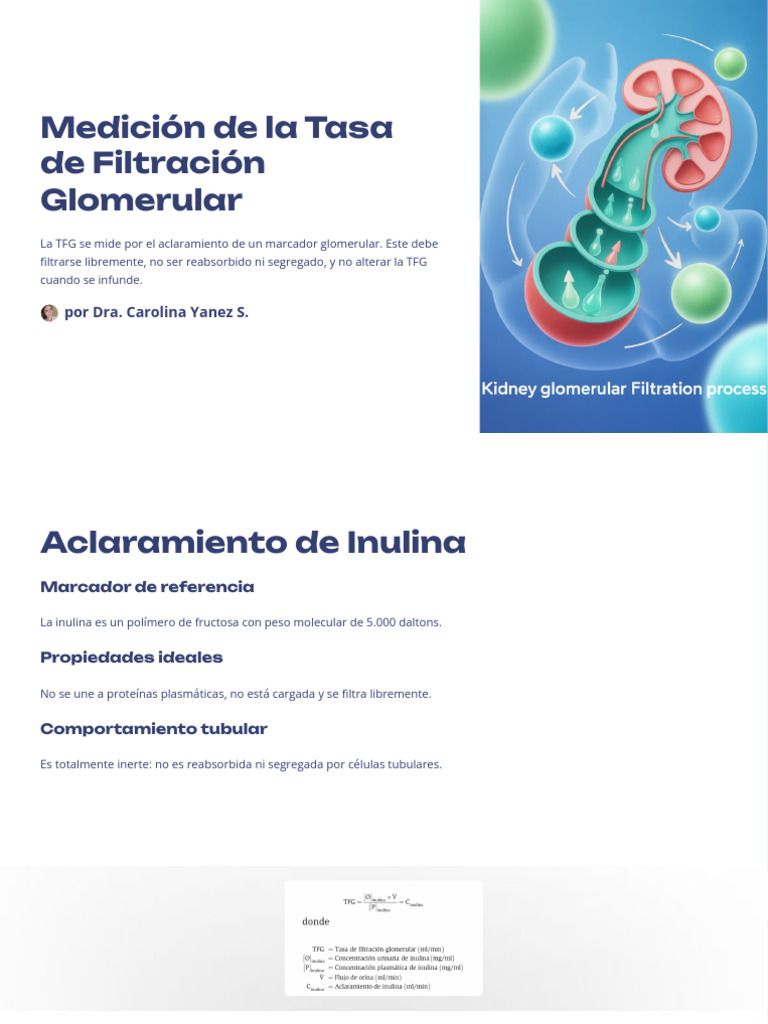 Medicion de La Tasa de Filtracion Glomerular | PDF | Riñón