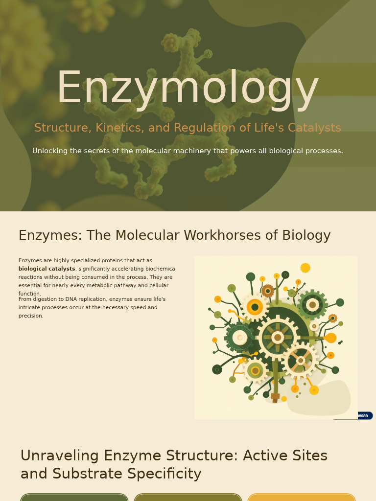 Enzymology - Explanation About Enzymes Biochemistry | PDF | Enzyme ...