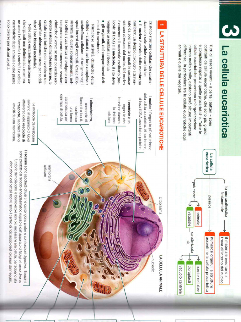 B64 | PDF