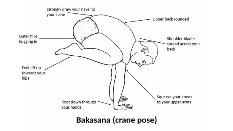 Mastering Bakasana: Crane Pose Guide | PDF