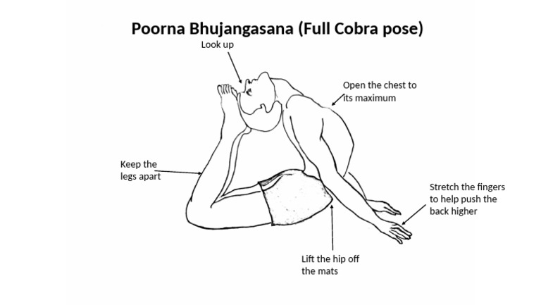 Full Cobra Pose Instructions | PDF