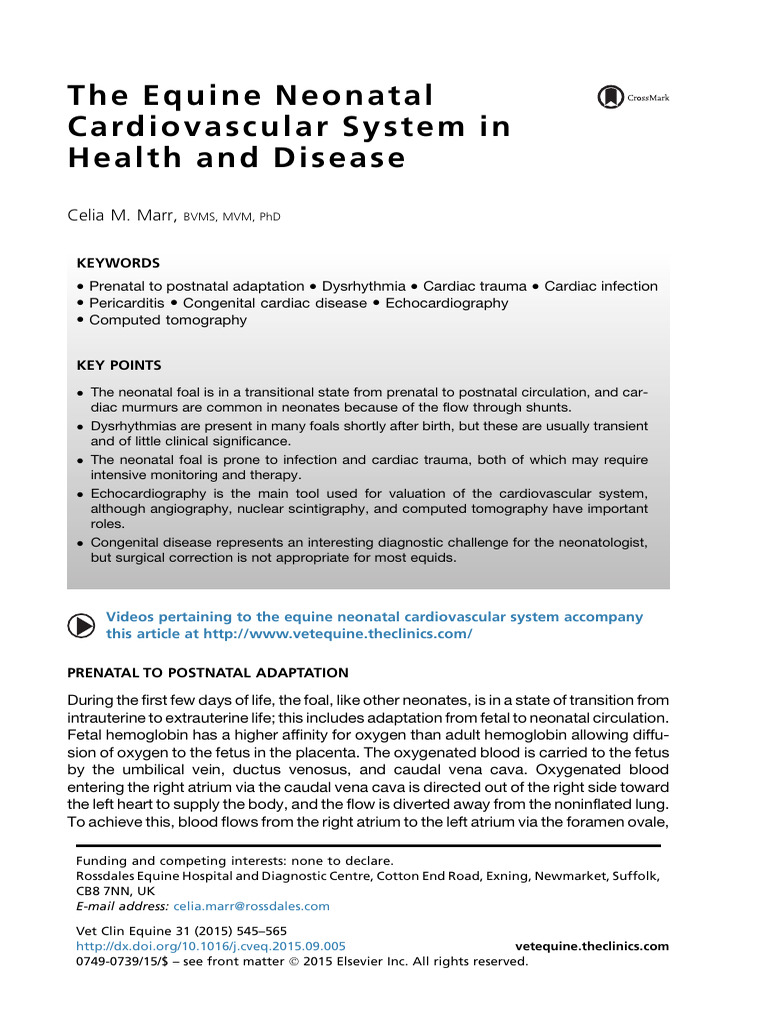 Equine Neonatal Cardiovascular System in Health and Disease MARR, 2015 ...