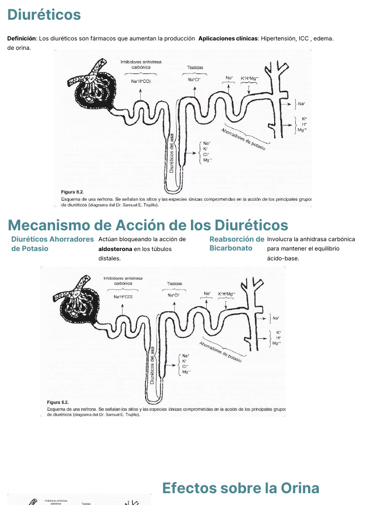 Guía Completa sobre Diuréticos y Usos Clínicos | PDF | Especialidades ...