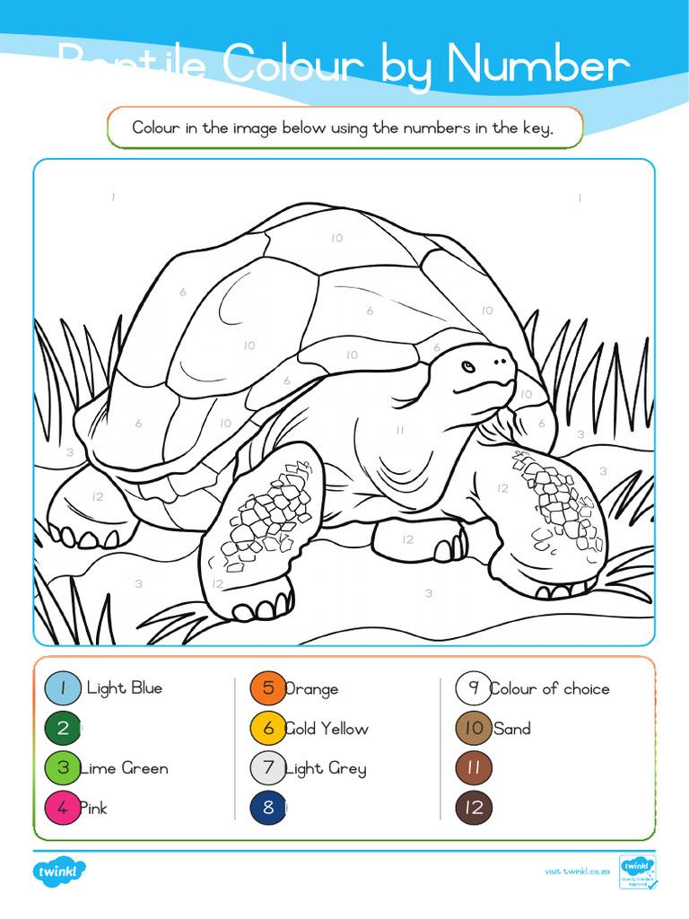 Za M 1750771479 Reptile Colour by Numbers Worksheets Ver 1 Sa Report ...