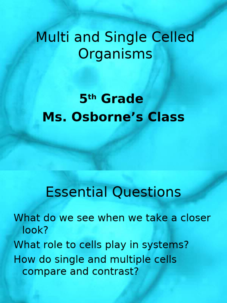 Comparing Single and Multi-Celled Organisms | PDF