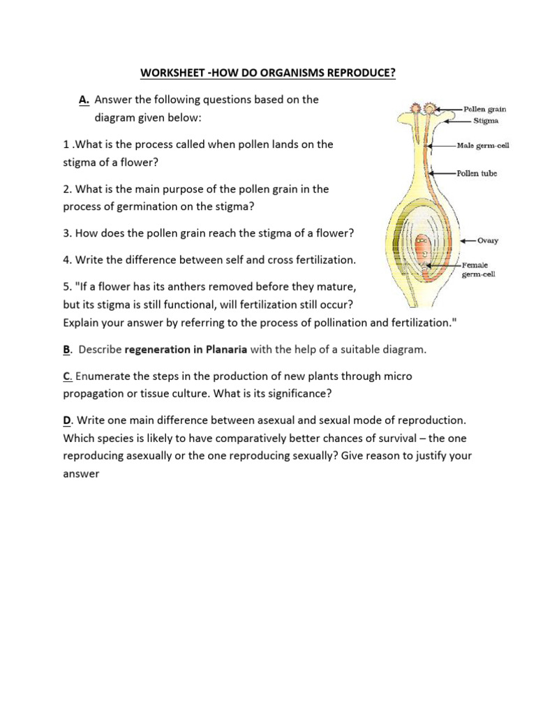 Organism Reproduction Worksheet | PDF