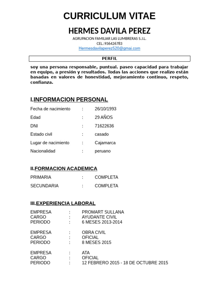 Curriculum Vitae Ultimo | PDF