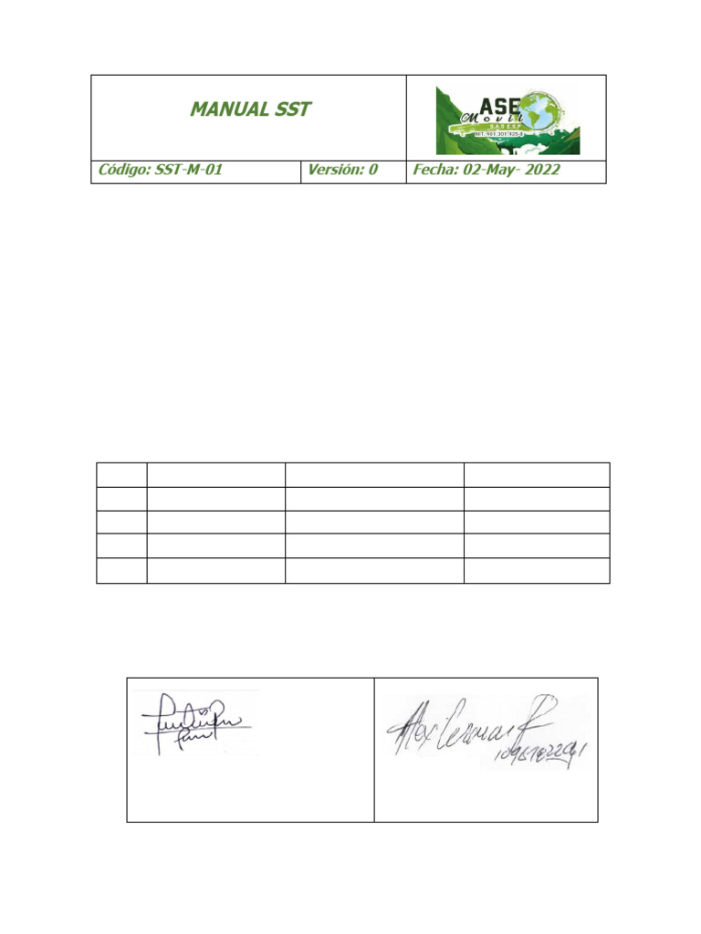 Manual de Seguridad y Salud Laboral | PDF | La seguridad informática ...