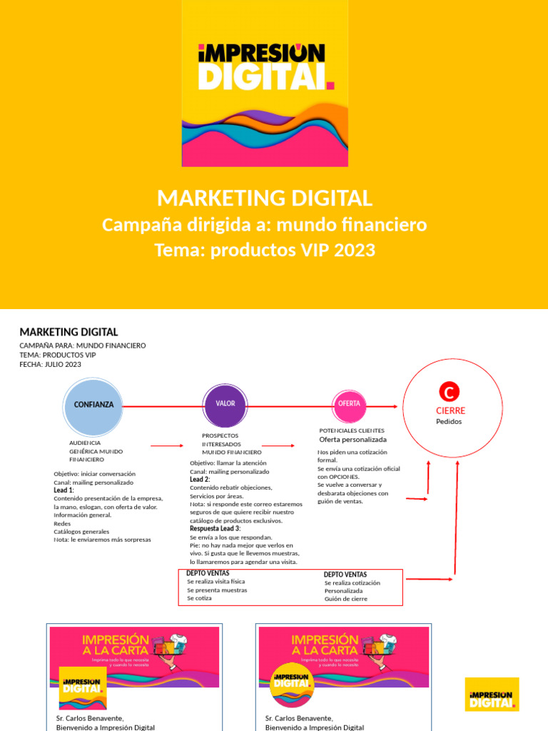 Marketing Digital - Campaña Productos VIP | PDF | Publicidad digital ...