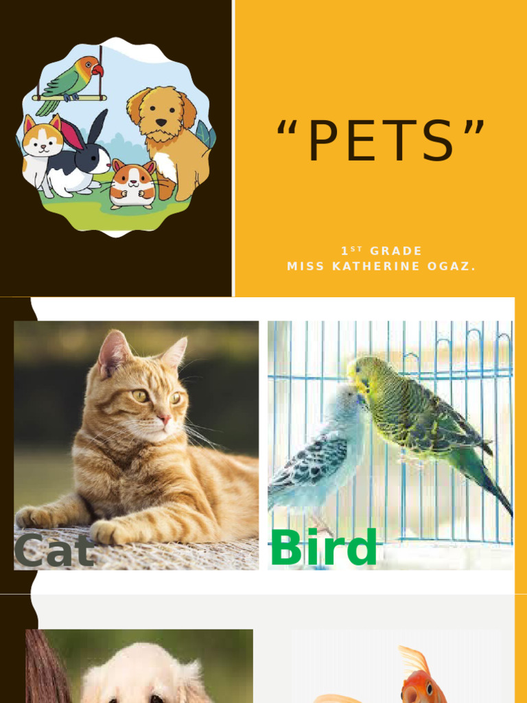 Pets | PDF